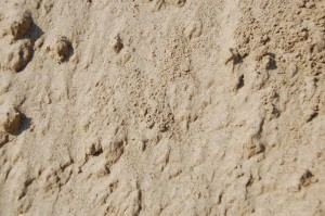 Mason Sand - Royalton Supply Landscape Center